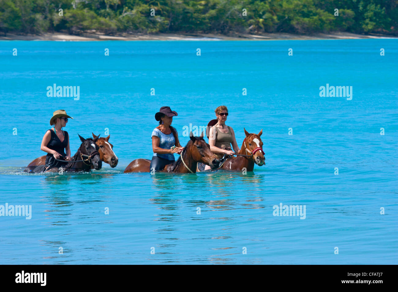 Horse sea tobago hi-res stock photography and images - Alamy