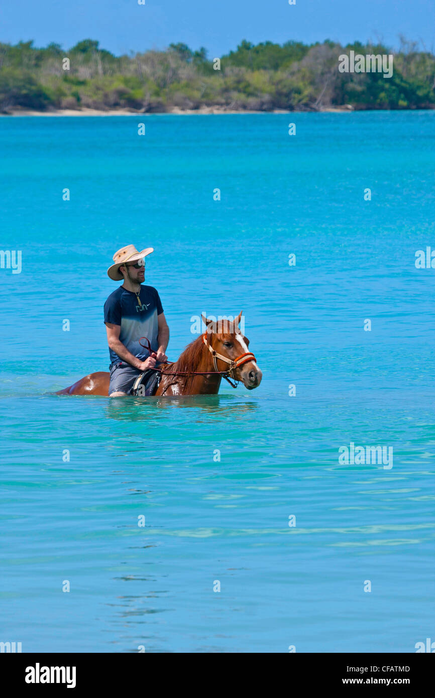 Horse sea tobago hi-res stock photography and images - Alamy