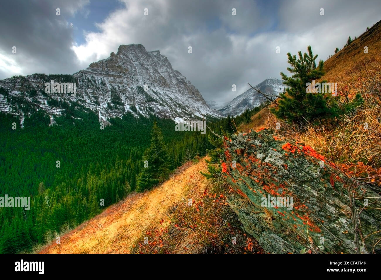 Mount Lineham, Waterton Lakes National Park, Alberta, Canada Stock ...
