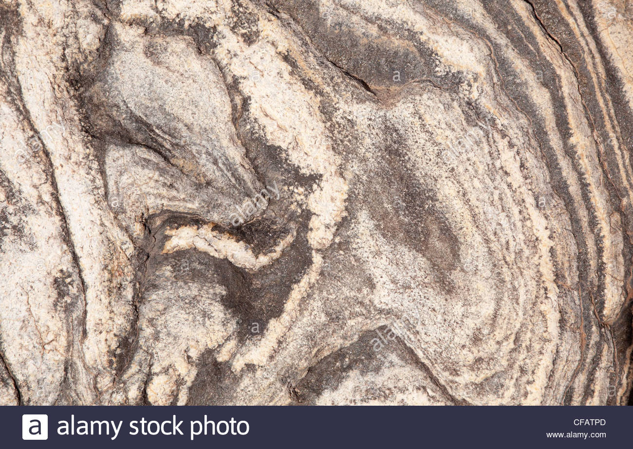 Banded Stock Photos & Banded Stock Images - Alamy