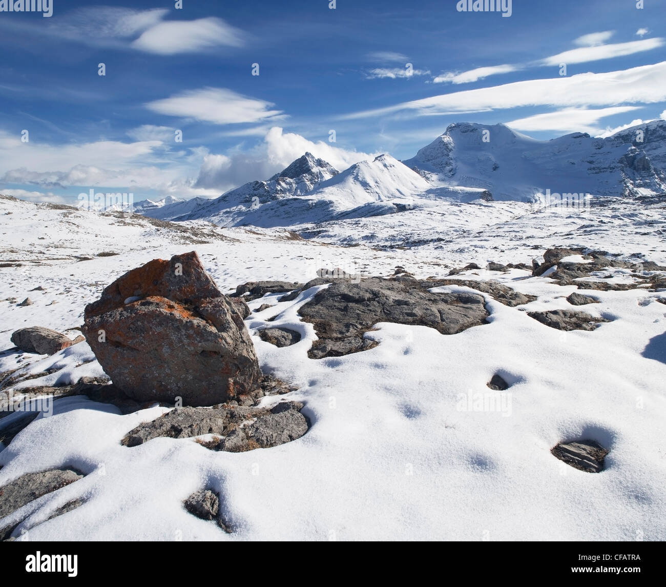 Wilcox Pass and Mount Wilcox, Jasper National Park, Alberta, Canada ...