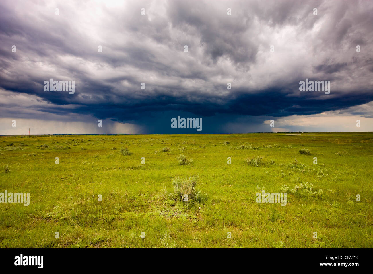 Storm over prairie, Dunmore, Alberta, Canada Stock Photo - Alamy