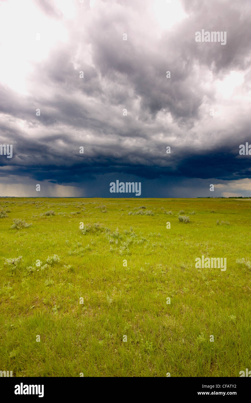 Storm over prairie, Dunmore, Alberta, Canada Stock Photo - Alamy