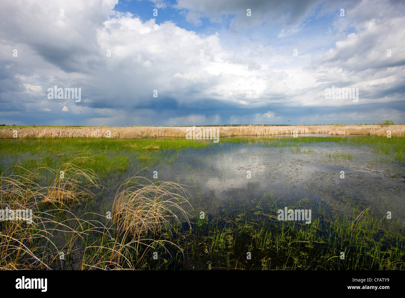 Ralston Stock Photos & Ralston Stock Images - Alamy