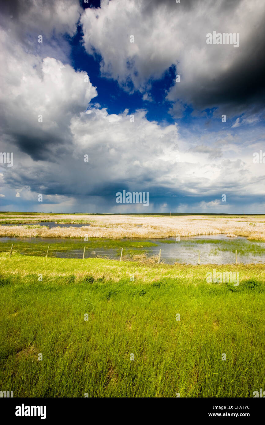 Ralston High Resolution Stock Photography and Images - Alamy