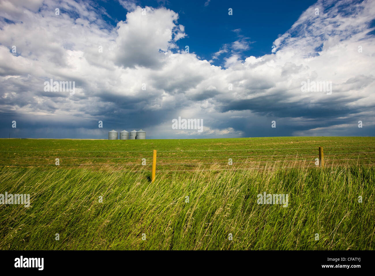 Storm clouds over wheat field near Ralston, Alberta, Canada Stock Photo ...