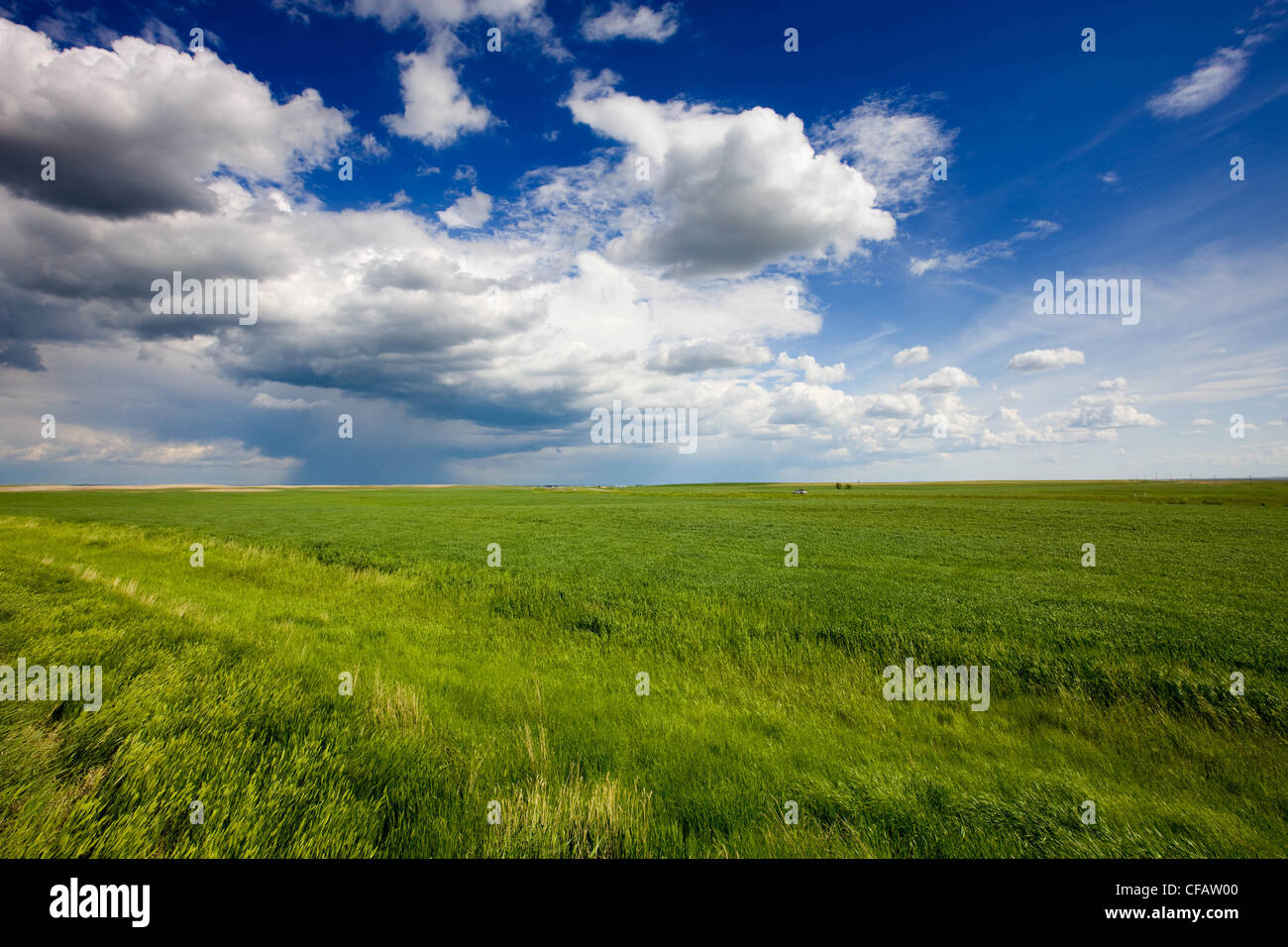 Cloud gathering hi-res stock photography and images - Alamy