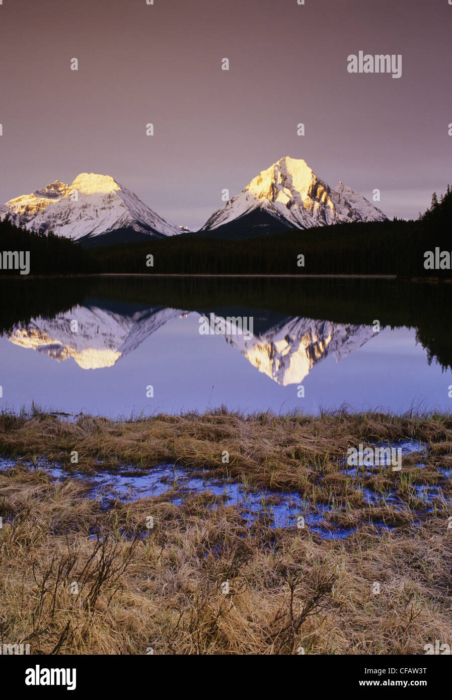 Fryatt Peaks High Resolution Stock Photography and Images - Alamy