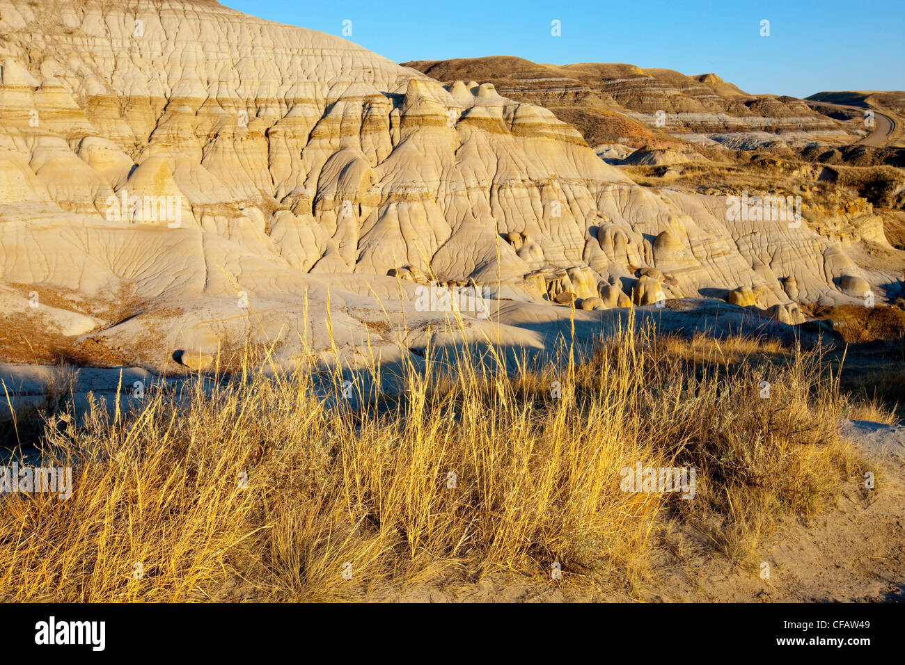 Hoodoo formation in The Badlands, Drumheller, Alberta, Canada Stock ...