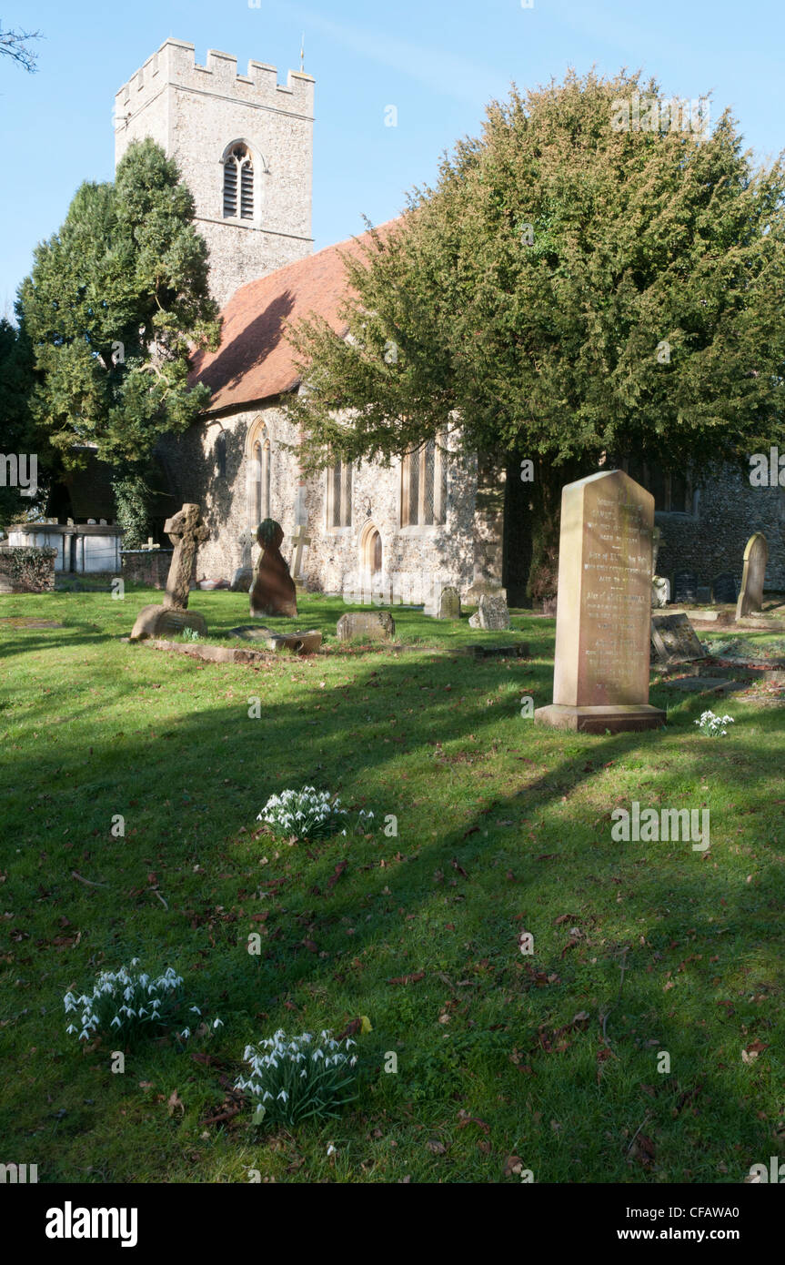 St Martins Church, White Roding, Essex, England Stock Photo - Alamy