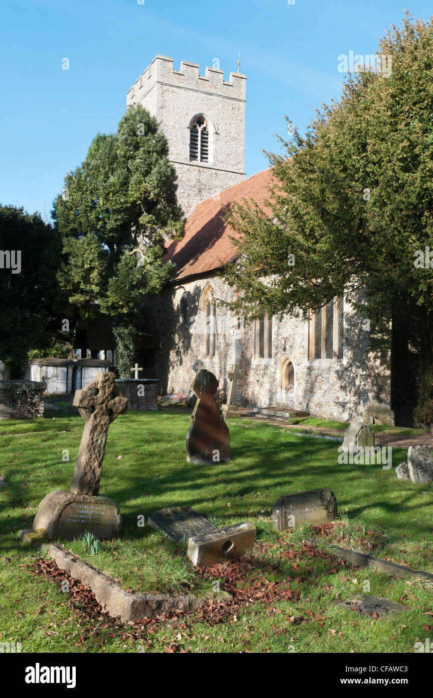 White roding hi-res stock photography and images - Alamy