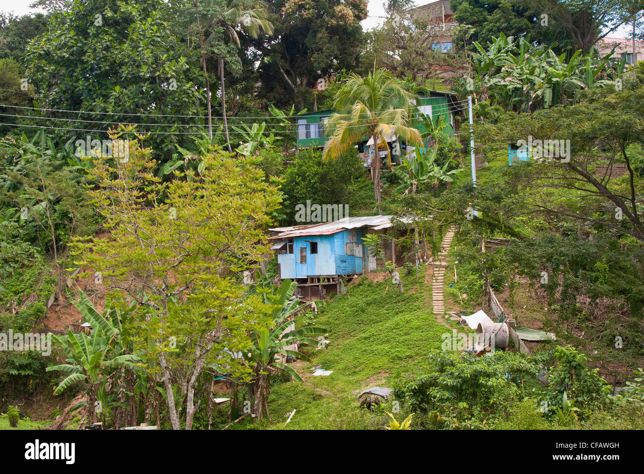 Shack's on hillside in Tobago Stock Photo - Alamy