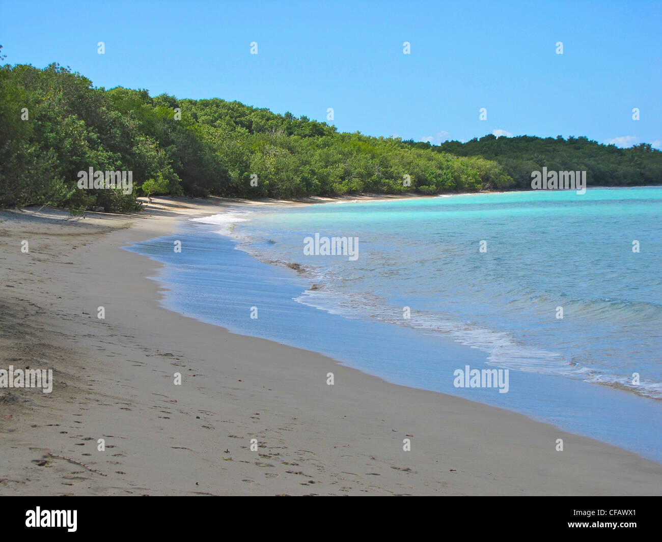 View of Buccoo Bay, Tobago Stock Photo - Alamy
