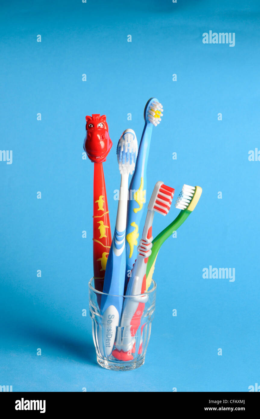 Dental busts hi-res stock photography and images - Alamy