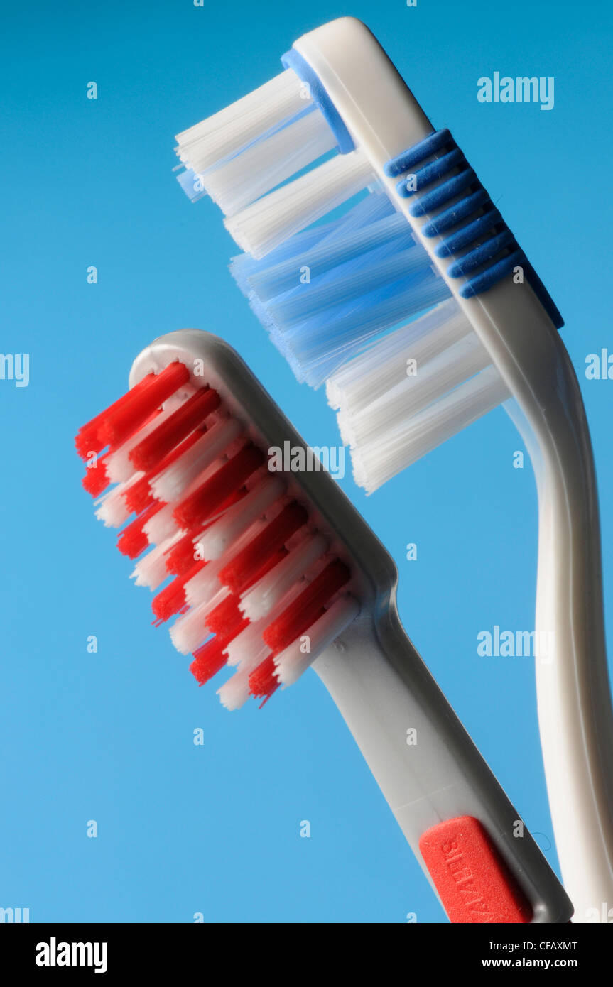 Dental busts hi-res stock photography and images - Alamy