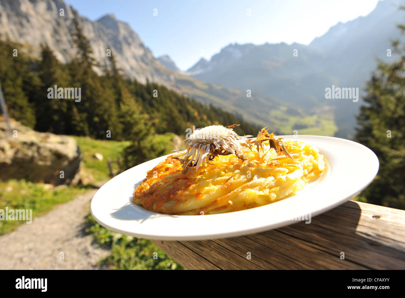 Switzerland, canton Bern, Bernese Oberland, Tällihütte, mountain hut ...