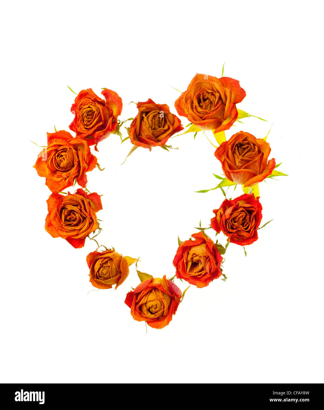 Roses in the shape of a heart against white background Stock Photo - Alamy
