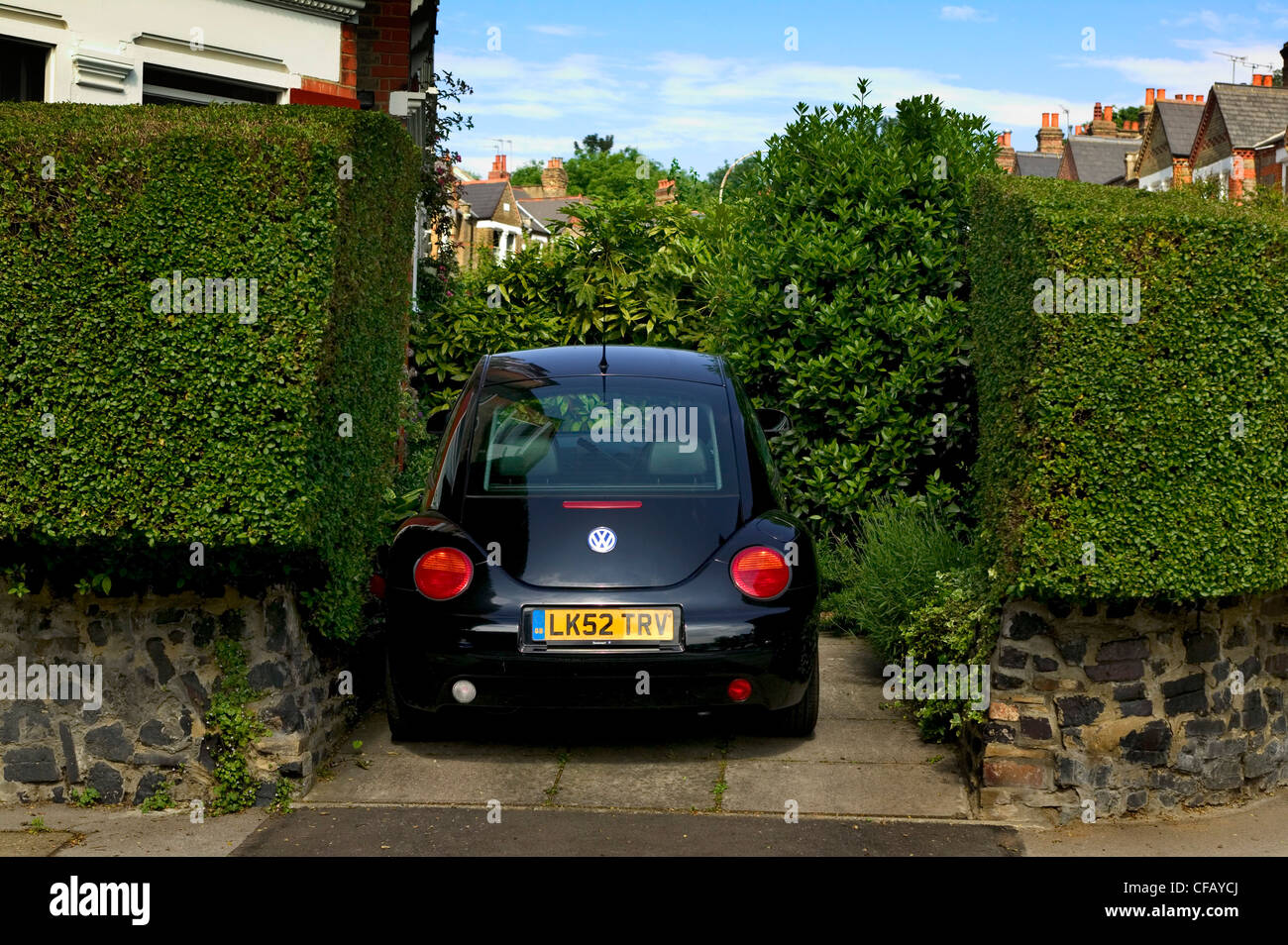 Car parked behind hedges on London suburban street Stock Photo - Alamy