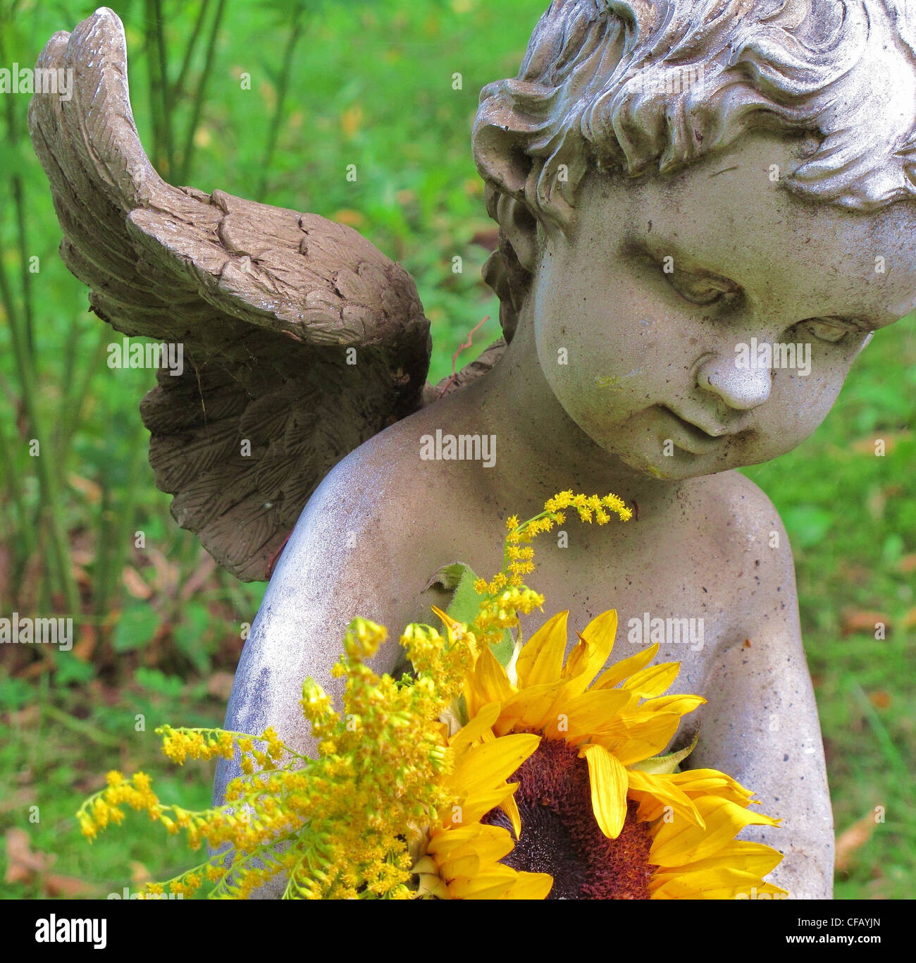Angel, child, symbol, concepts, wing, cemetery, grief, flowers, plants ...