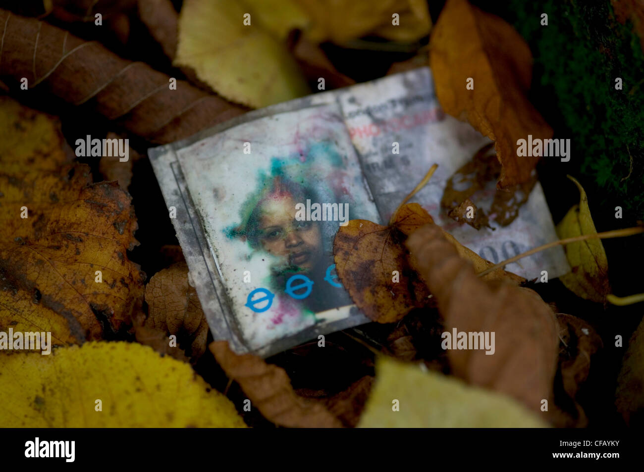 Lost bus hi-res stock photography and images - Alamy