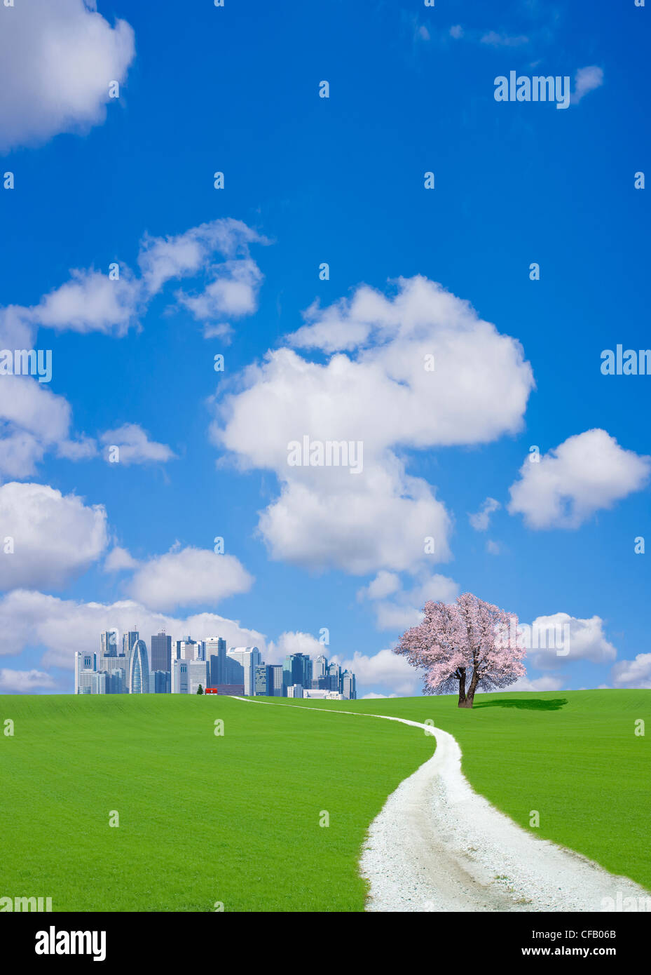 Cherry tree and building Stock Photo - Alamy