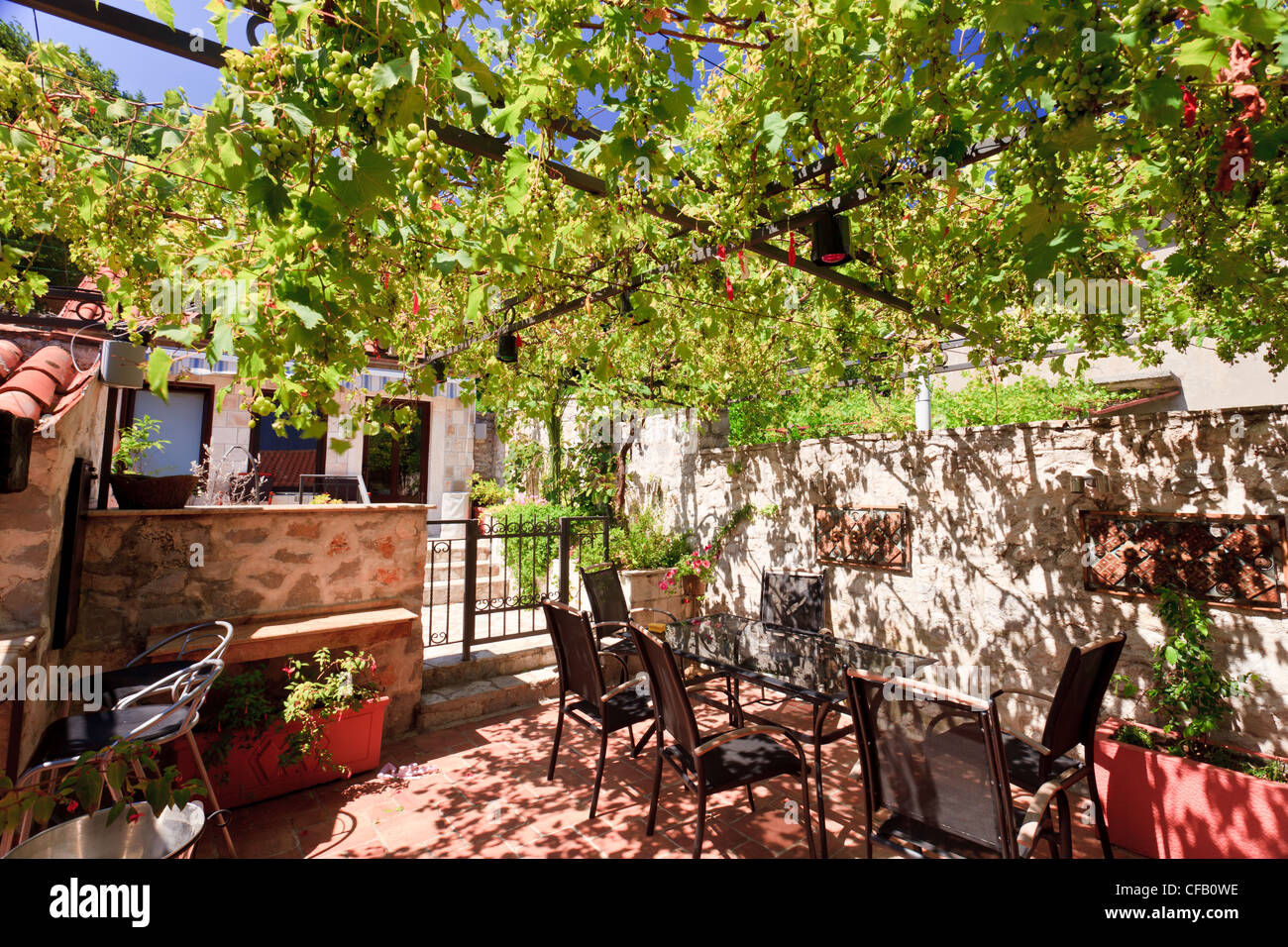 Garden terrace covered in creeping grape vines Stock Photo - Alamy
