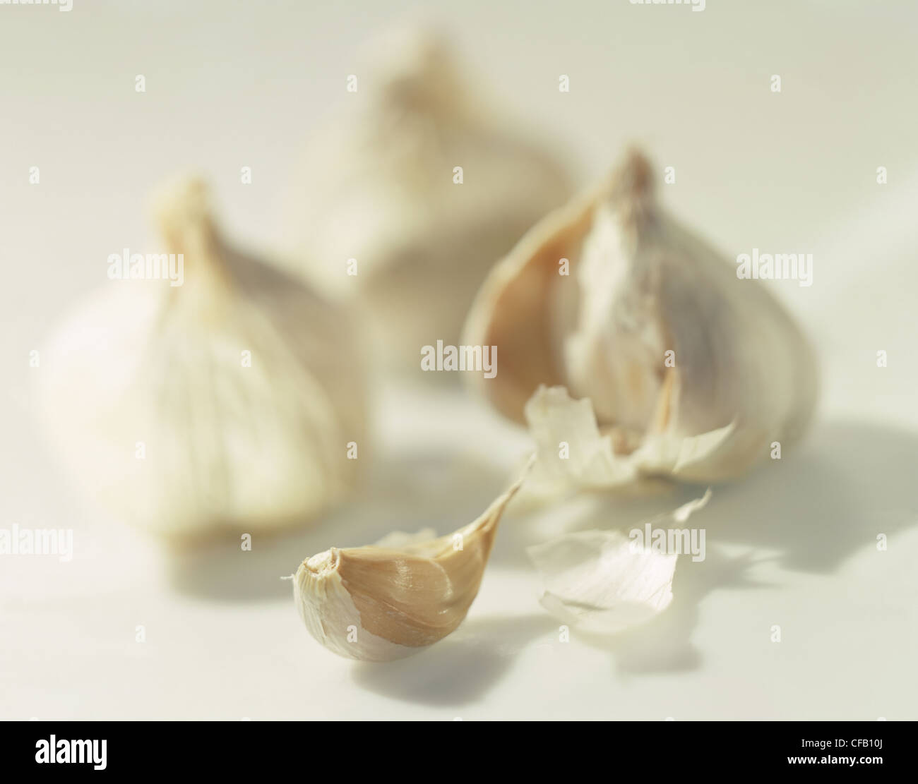 Still: Garlic, sallied Stock Photo - Alamy