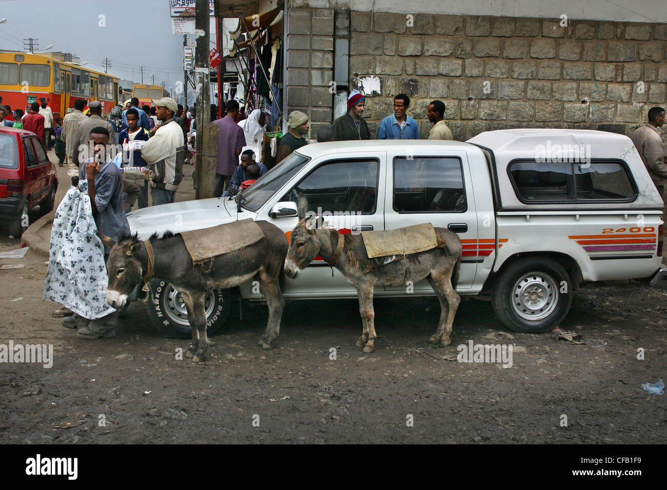 Donkeys lined up next to a car on a street in addis ababa Stock Photo ...