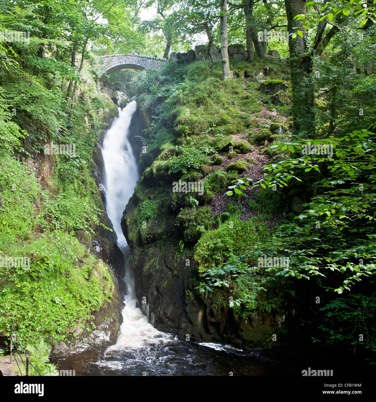 Aira force waterfall aira beck hi-res stock photography and images - Alamy