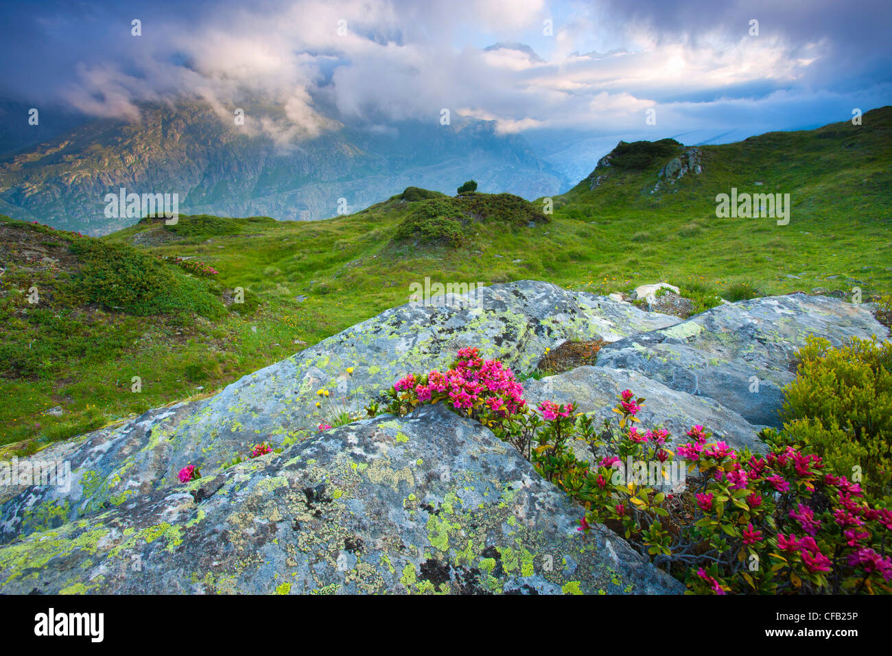 Moosfluh, Switzerland, Valais, Aletsch area, morning light, view point ...