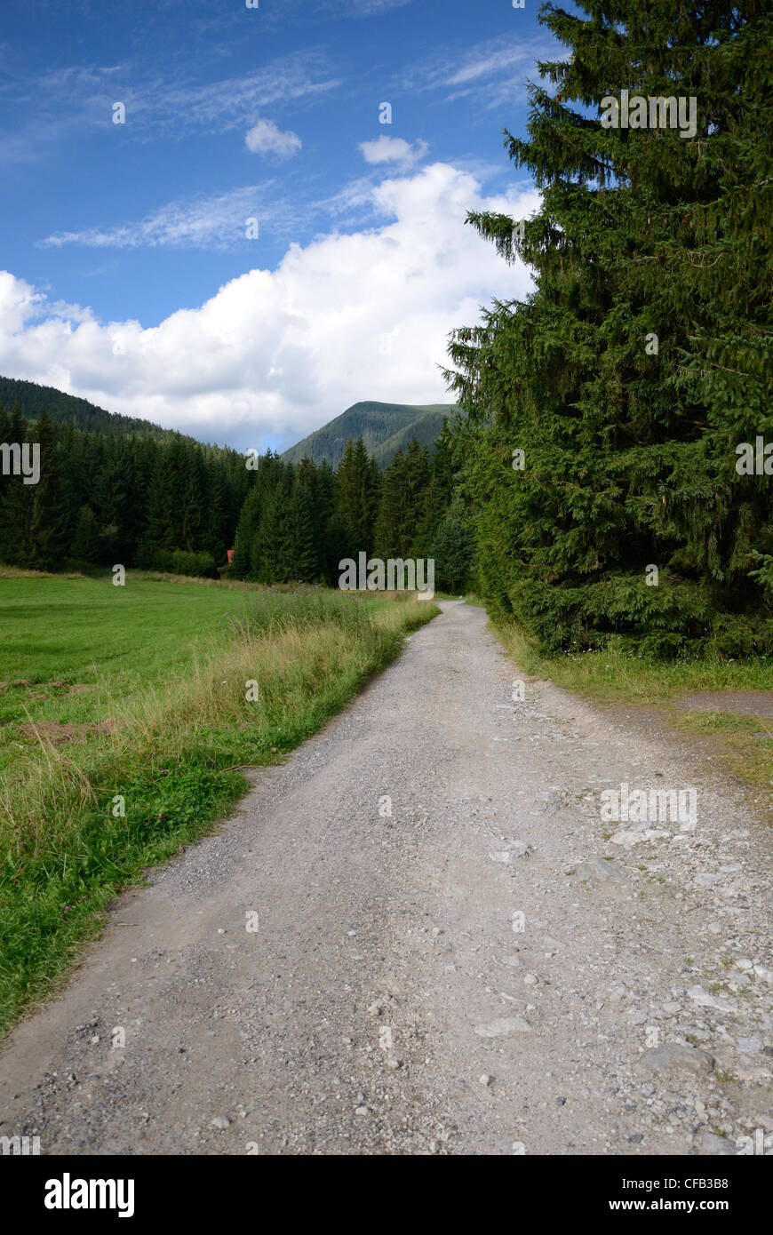 Long, long pathway - photo of some pathway in Slovakian mountains Stock ...