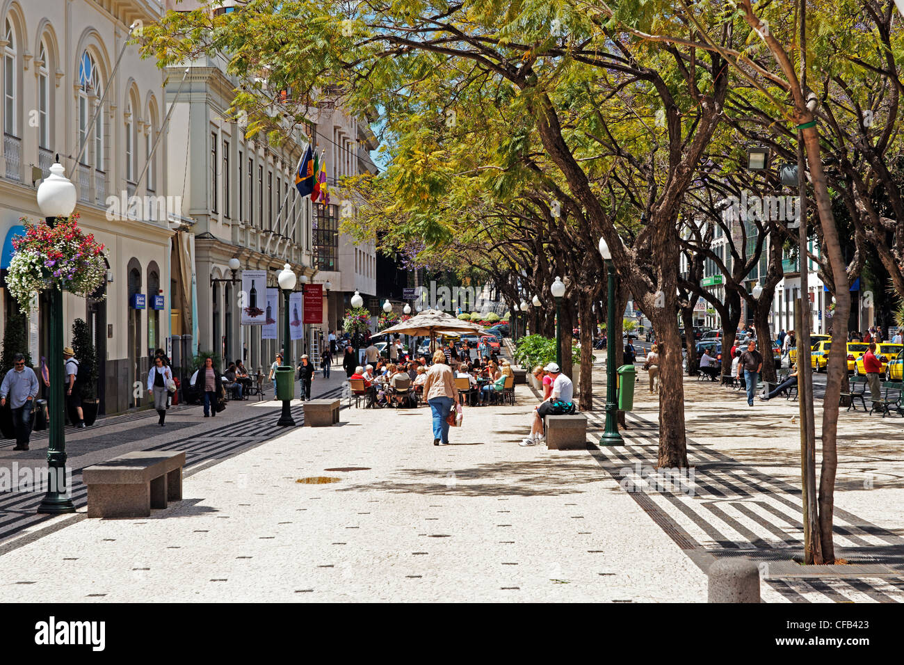 Avenida arriaga funchal madeira street hi-res stock photography and ...