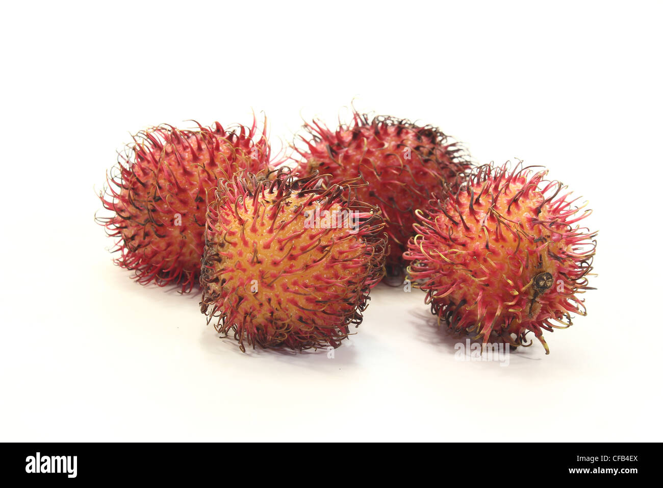 four fresh red rambutan before a light background Stock Photo - Alamy