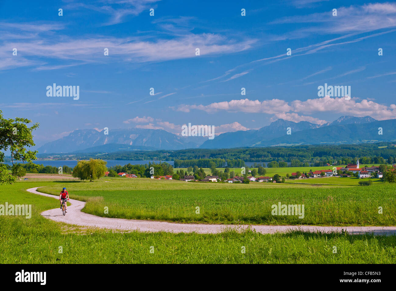 Europe, Germany, Bavaria, Upper Bavaria, Waging, Waging lake, Bicheln ...