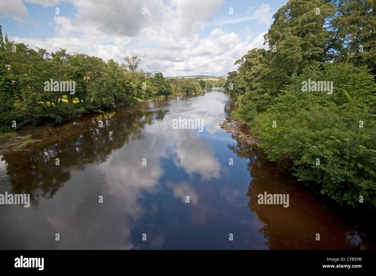 Tree lined banks on the River Eden at Armathwaite in Cumbria, with ...