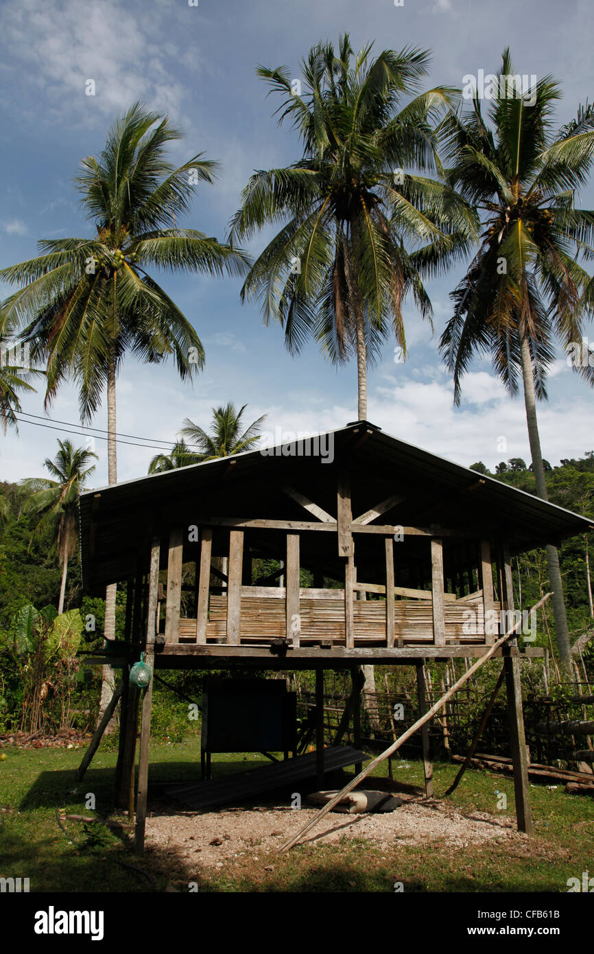 Traditional native Iban and Dayak family in a longhouse in Borneo ...