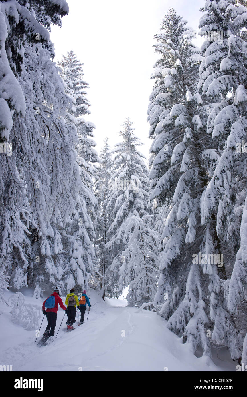 Canton Appenzell, Switzerland, Europe, Ausserrhoden, winter, snow ...