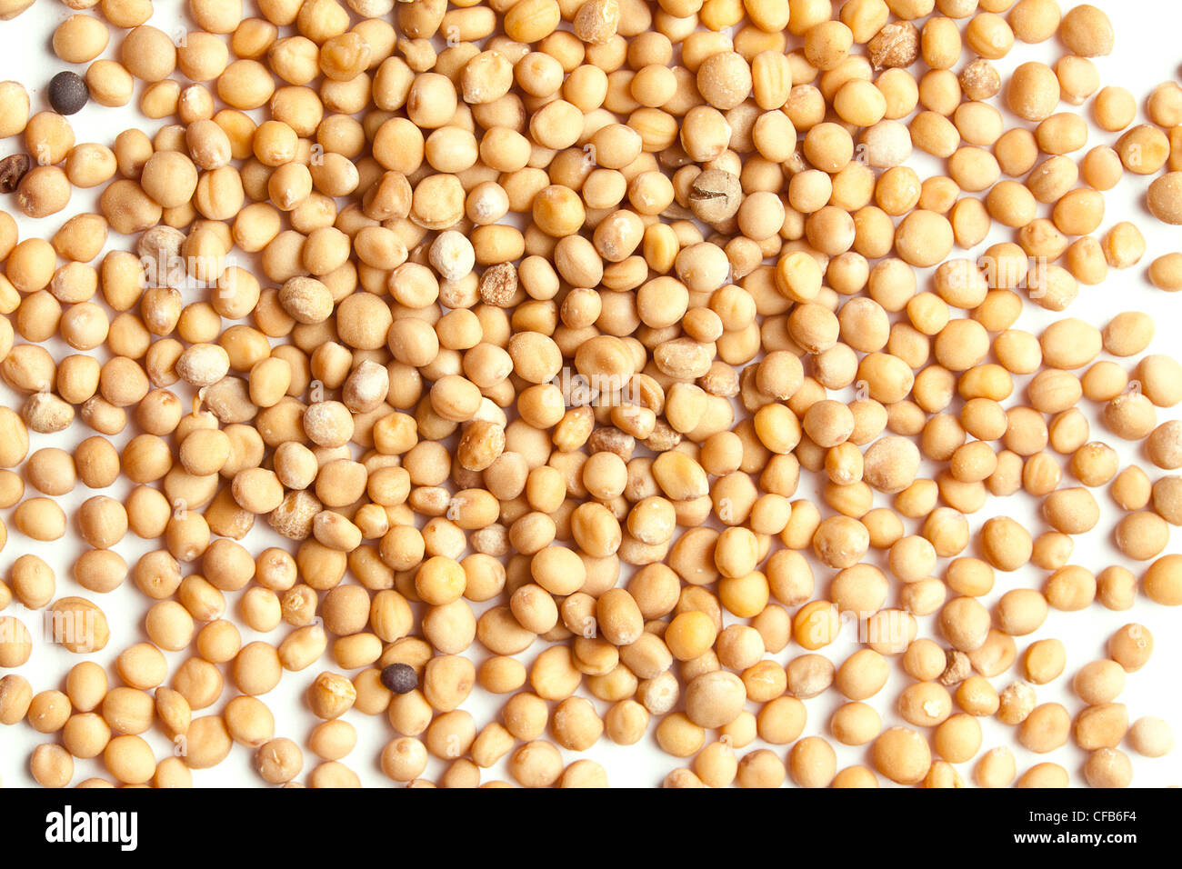Mustard seeds macro, studio shot Stock Photo - Alamy