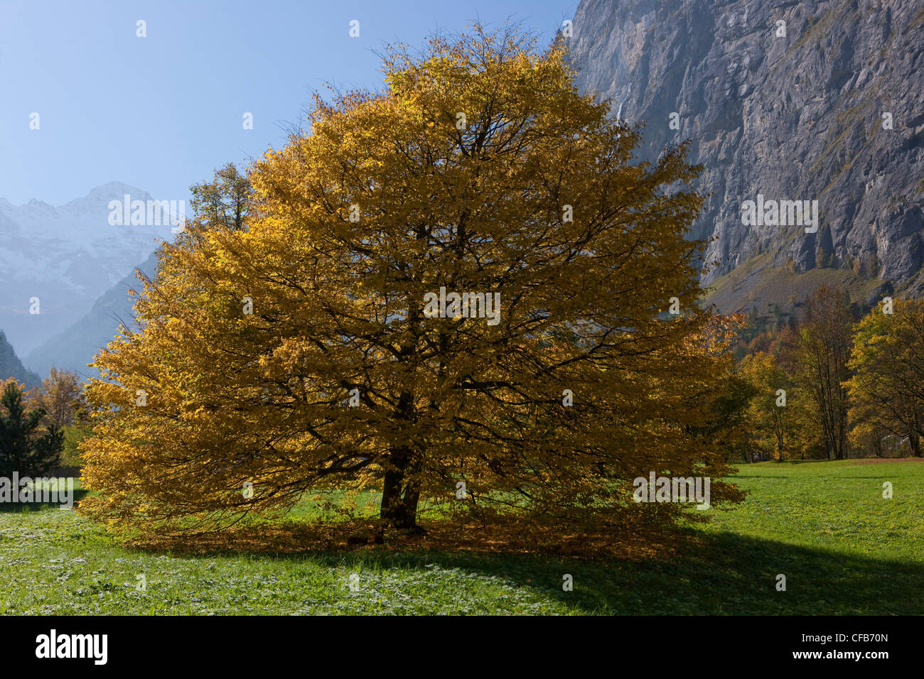 Switzerland, Europe, Lauterbrunnen, mountain, mountains, canton Bern ...