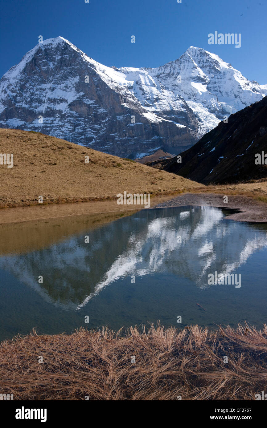 Switzerland, Europe, Männlichen, mountain, mountains, canton Bern ...