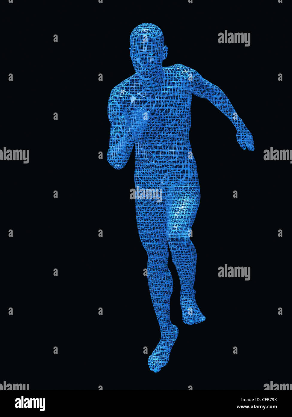 Human anatomy running muscles hi-res stock photography and images - Alamy