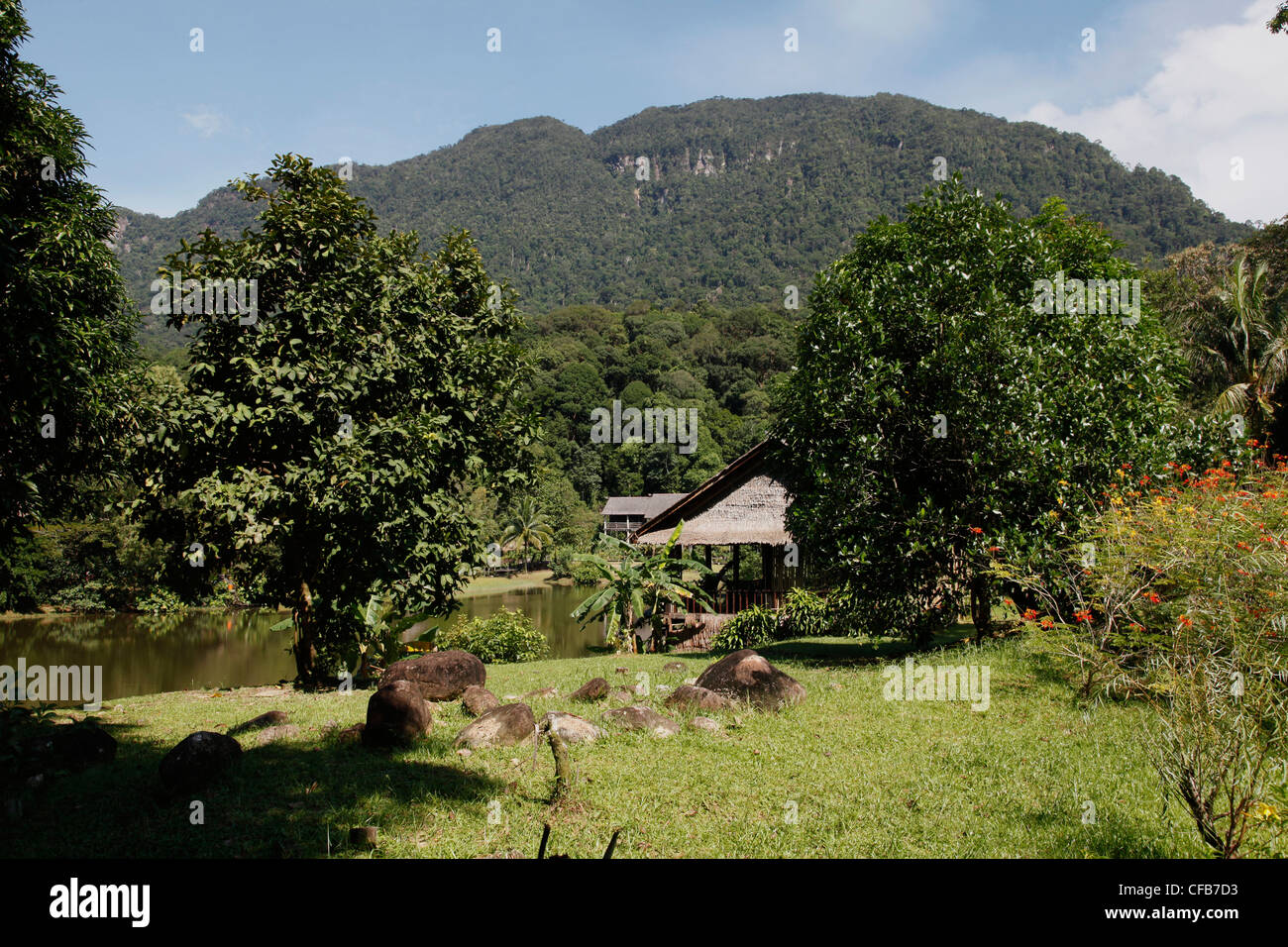 Traditional native Iban longhouse in Borneo, Malaysia Stock Photo - Alamy