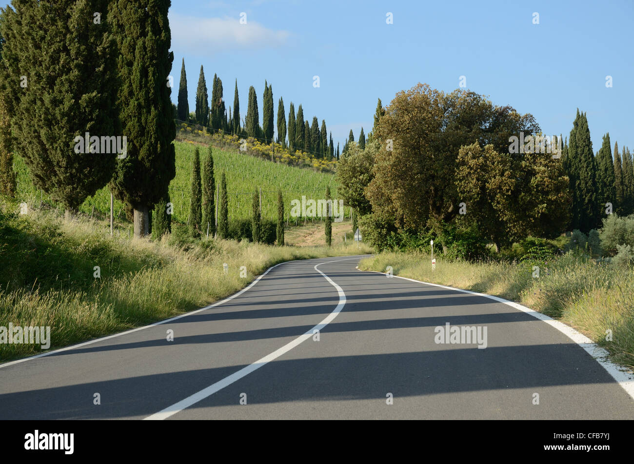 Cassia drive hi-res stock photography and images - Alamy