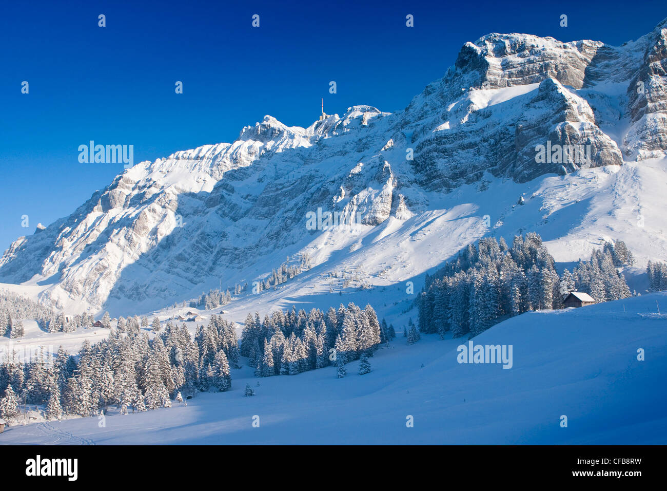 Winter, snow, mountain, mountains, Appenzell, Appenzell Innerroden ...