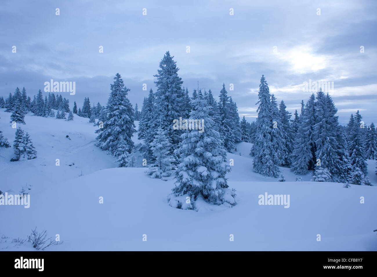 Mountain, mountains, snow, lake, winter, snow, canton, Vaud, Waadt ...
