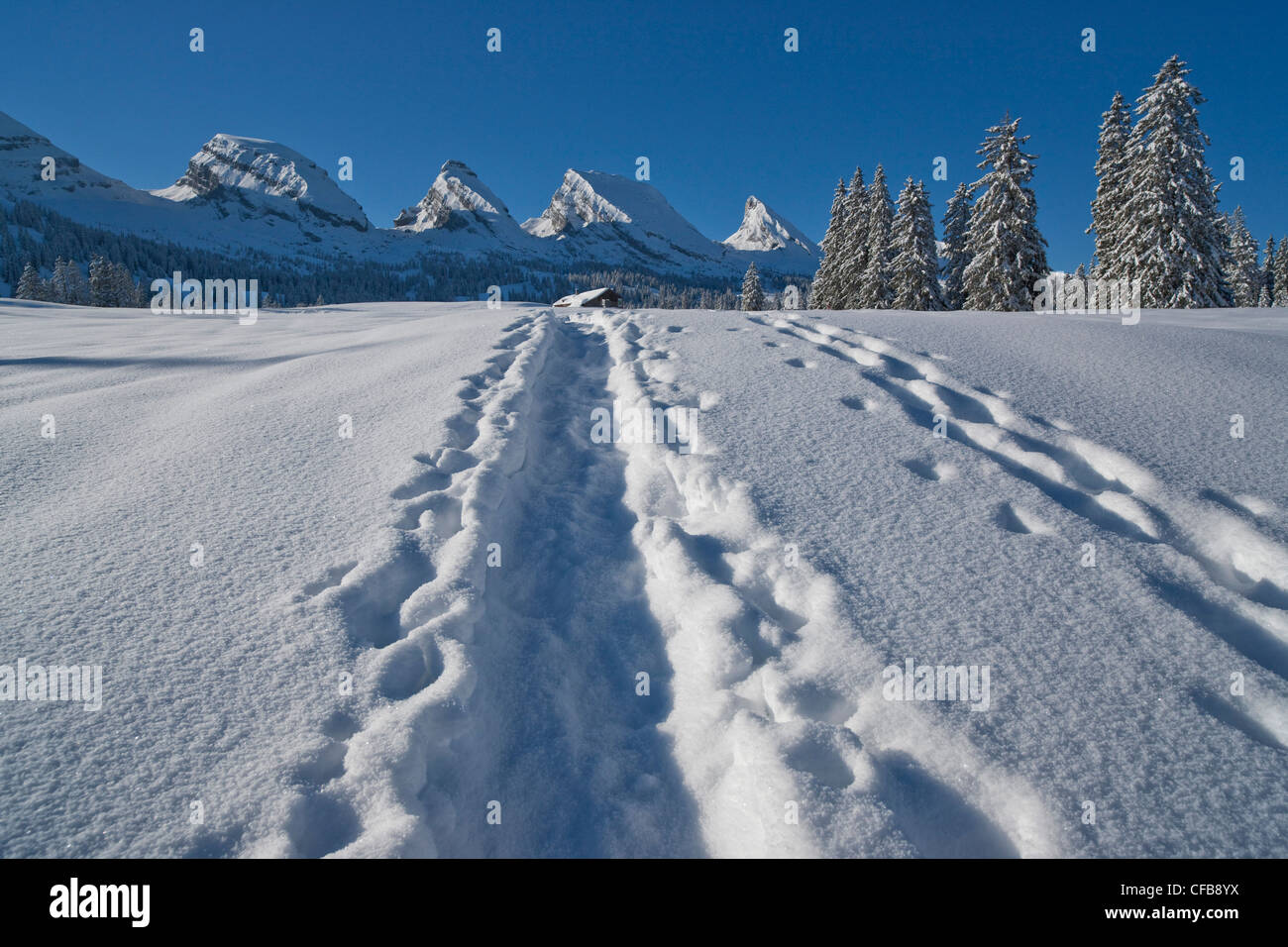 Mountain, mountains, winter, snow, canton, St. Gallen, St. Gall ...