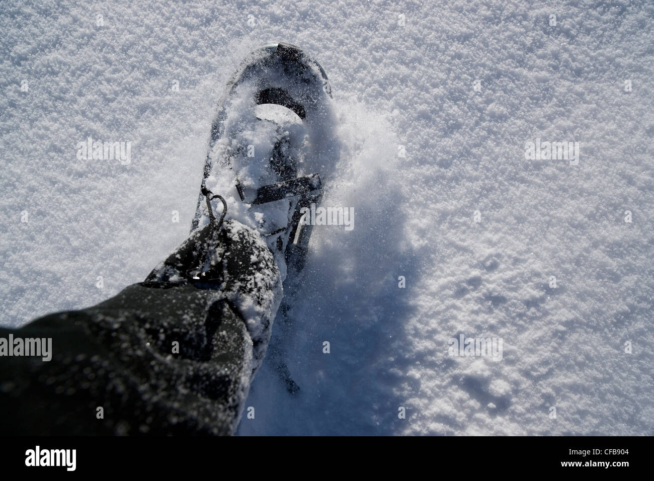 Snow, winter sports, snowshoe hiking, Switzerland, Europe, concepts ...