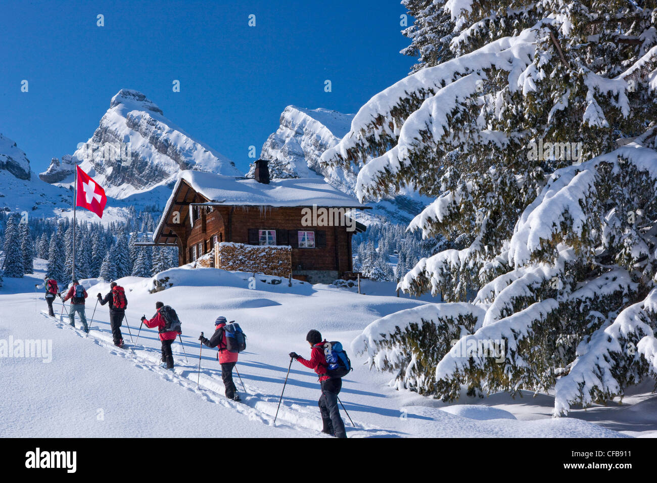 Flag, flags, Swiss flag, hut, mountain house, alp hut, mountain ...