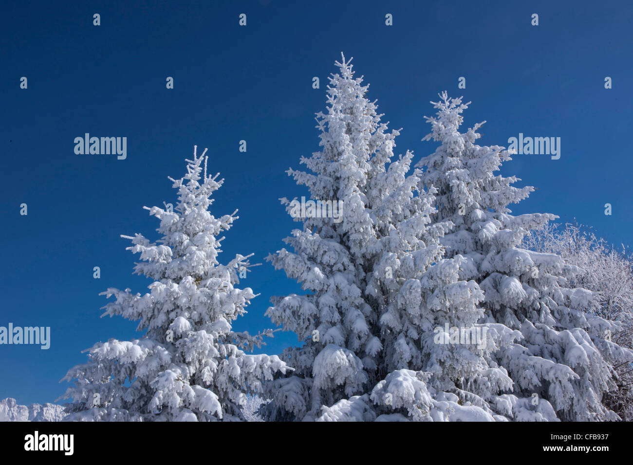 Flums mountains hi-res stock photography and images - Alamy