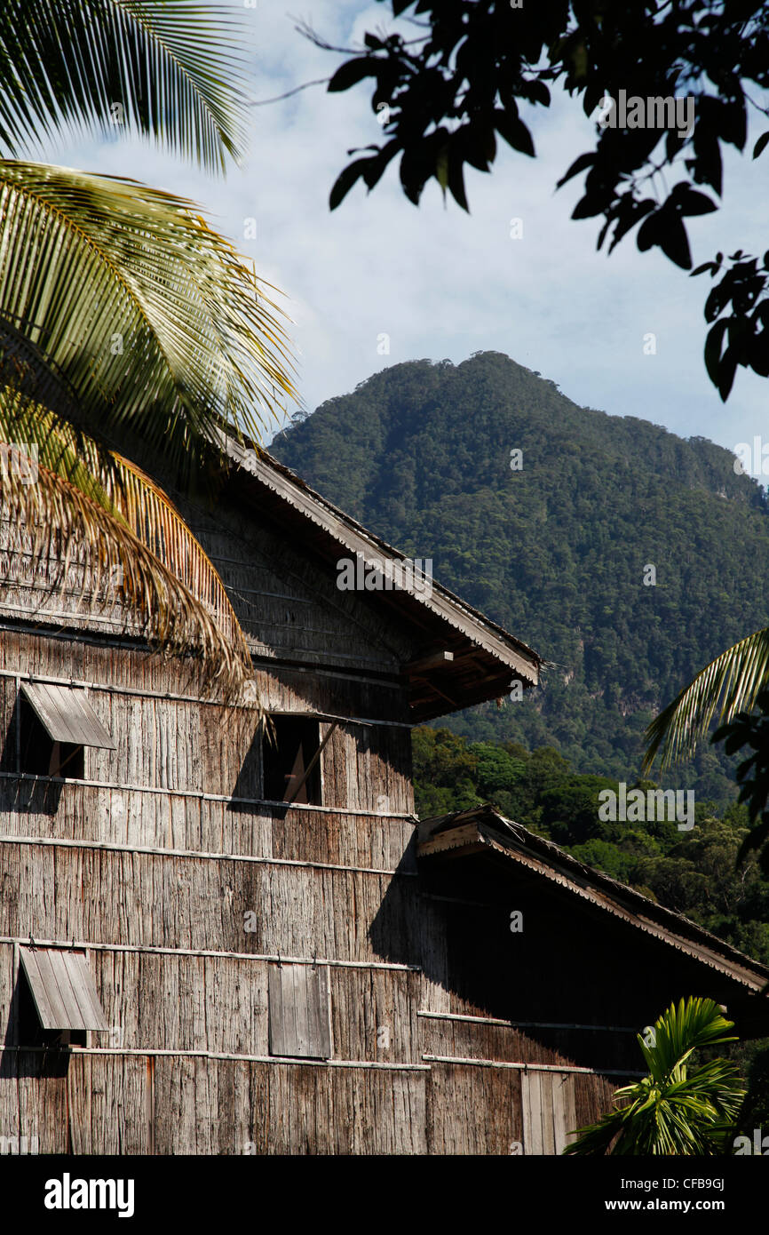Traditional native Iban longhouse in Borneo, Malaysia Stock Photo - Alamy